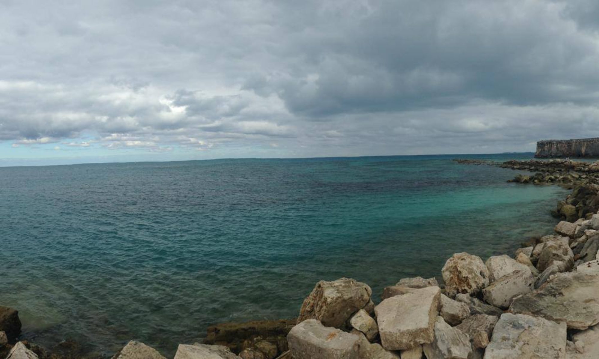 Jamie Goodall, PhD • Assistant Professor, Department of Public History